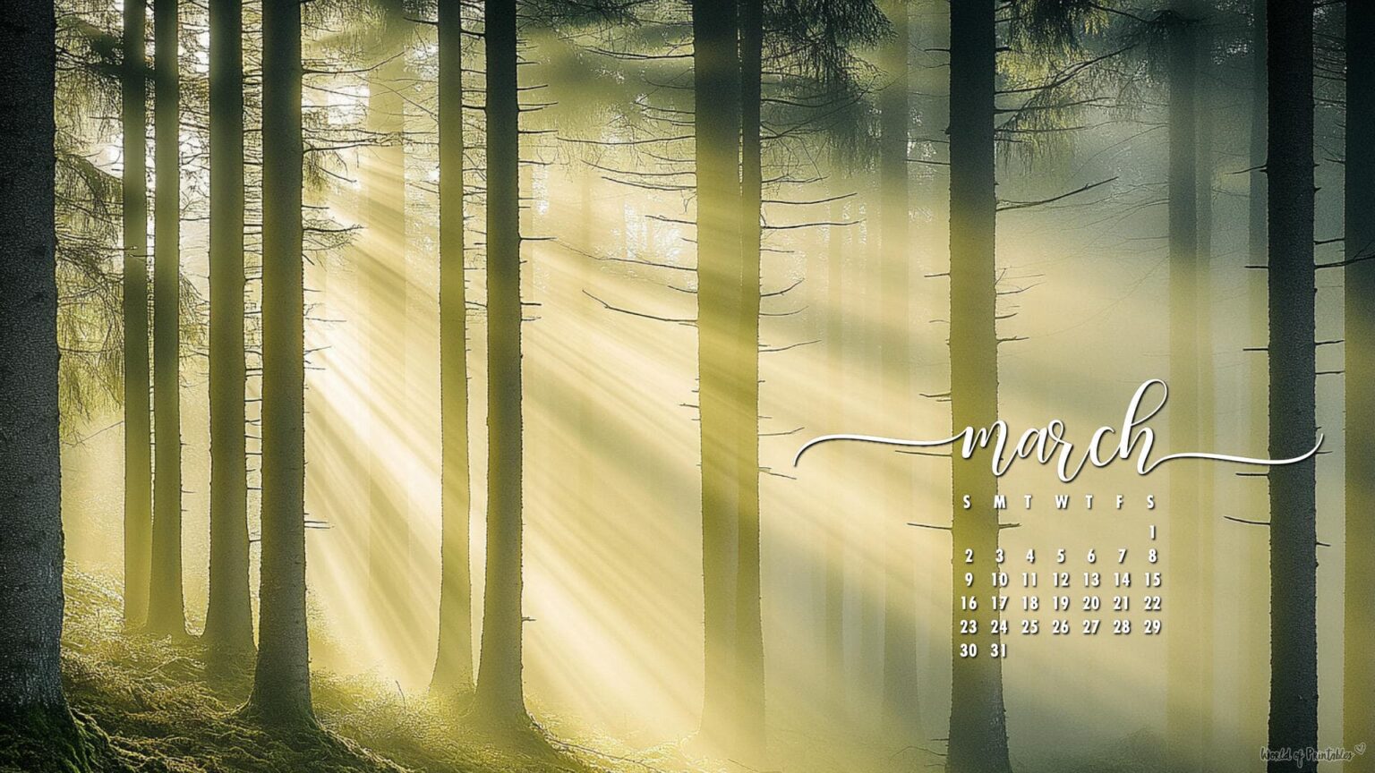 March Wallpaper | 120+ Best Desktop & Phone March Backgrounds