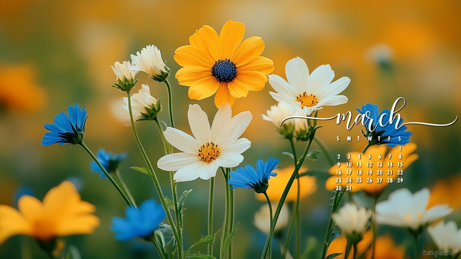 March Wallpaper | 120+ Best Desktop & Phone March Backgrounds