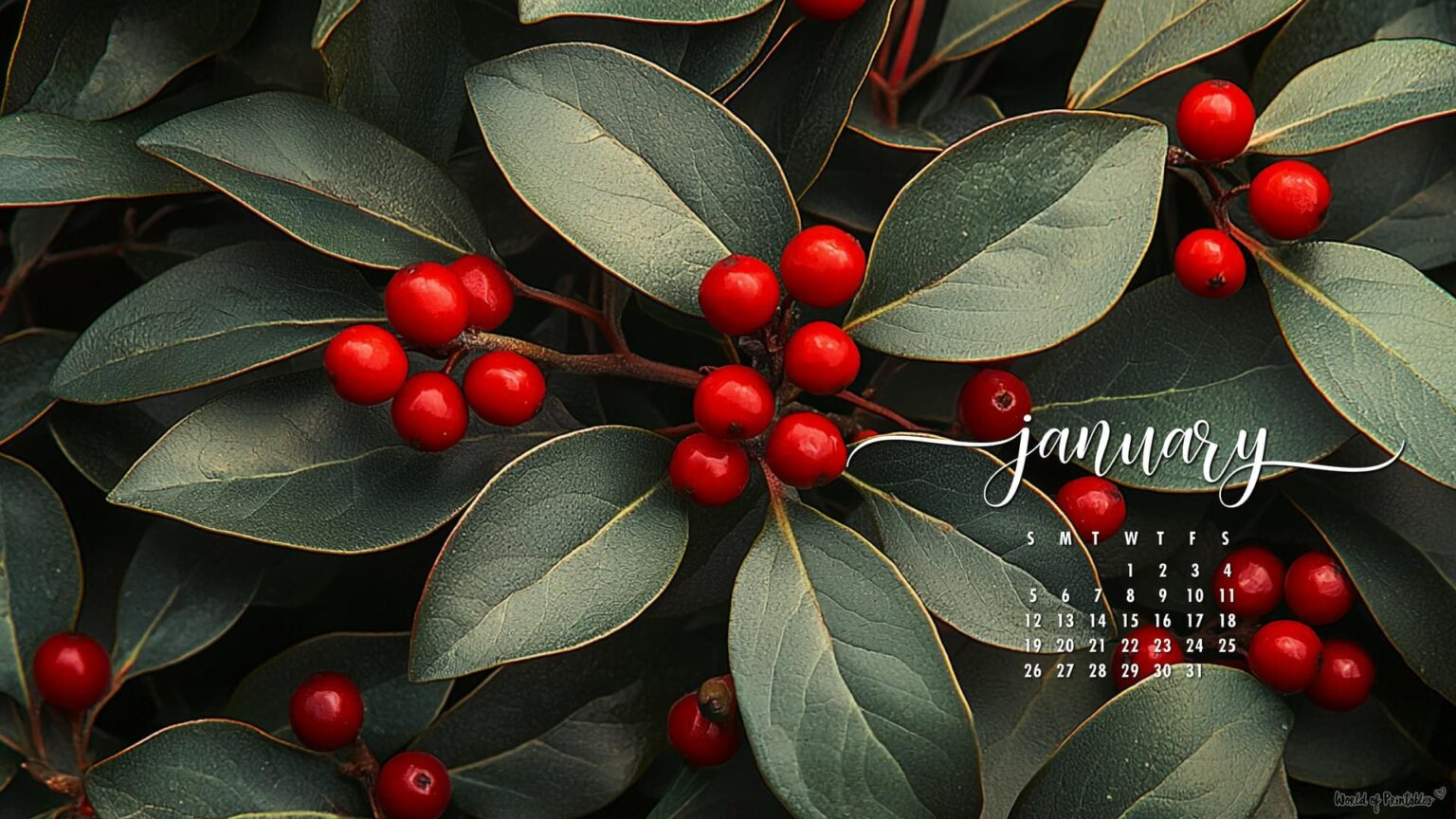 January Wallpaper | 200 Best Desktop & Phone Backgrounds - World of ...