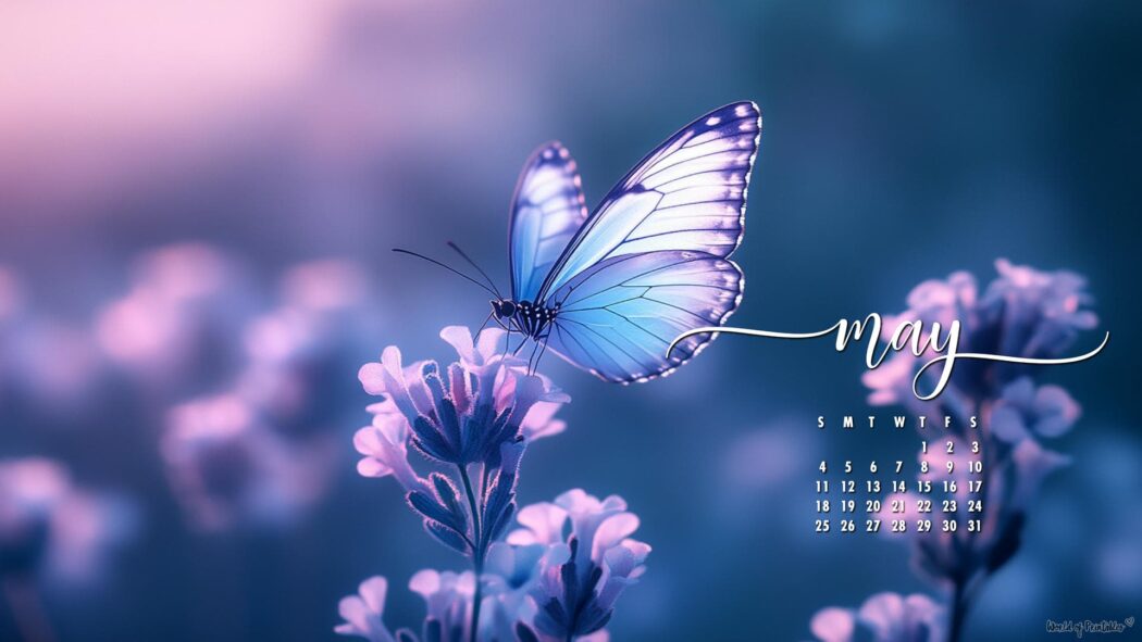 Free May 2025 Calendar Wallpapers