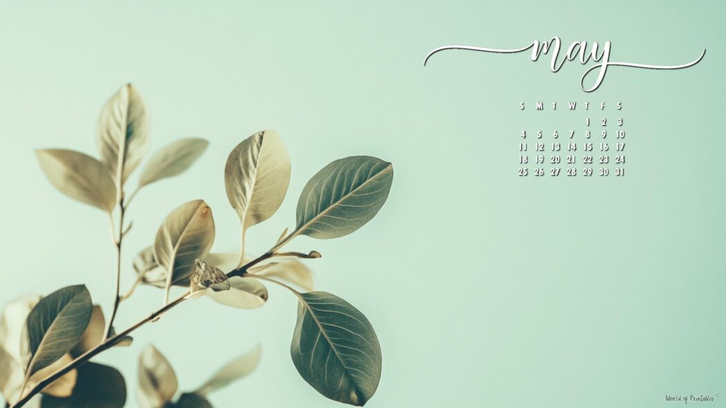 Free May 2025 Calendar Wallpapers