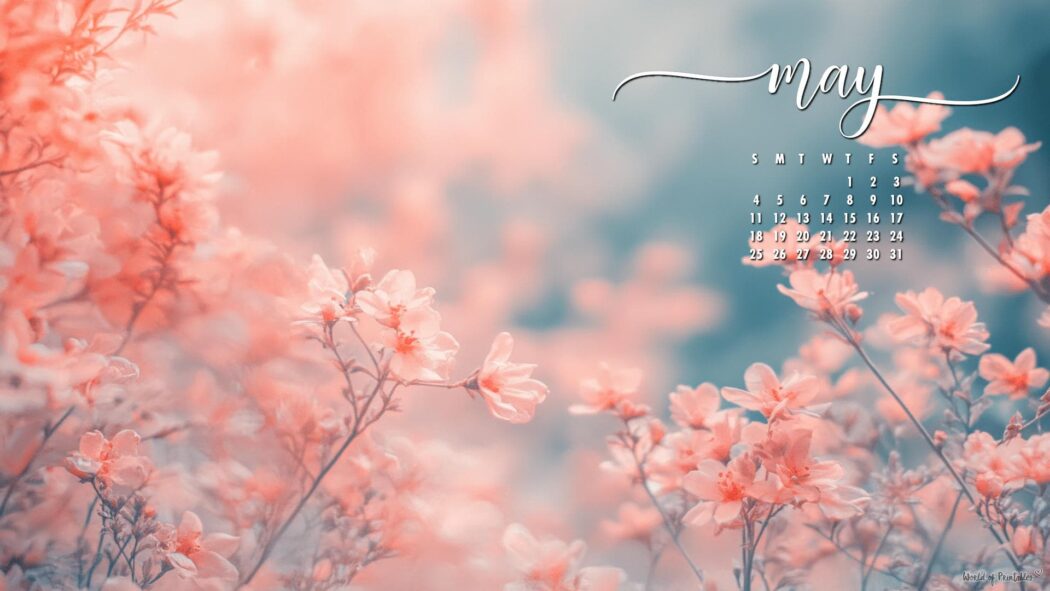 Free May 2025 Calendar Wallpapers