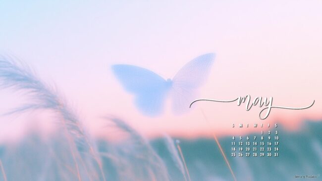 Free May 2025 Calendar Wallpapers