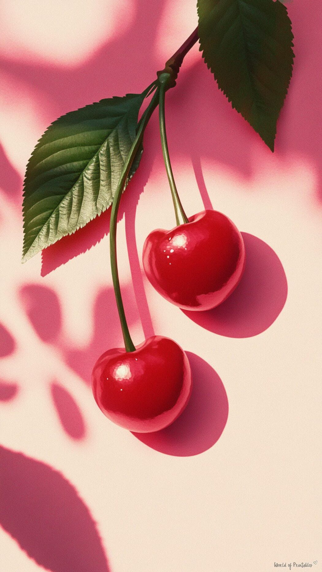200 Cherry Wallpapers to Freshen Up Your Phone Screen