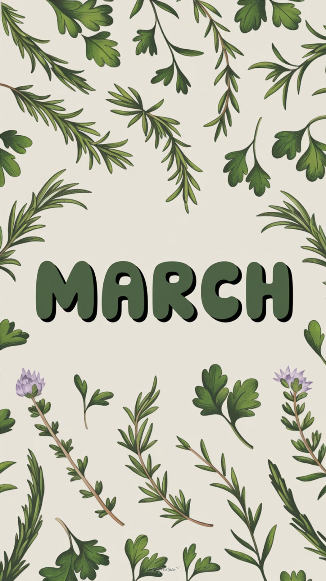 Hello March | 90 Aesthetic Wallpapers For Your Phone This Spring