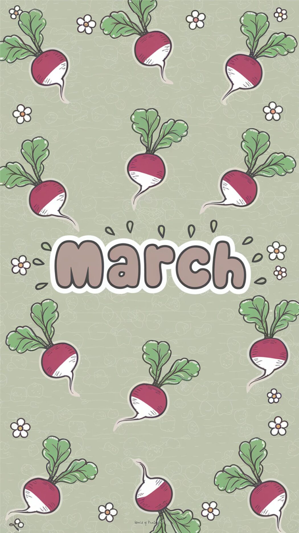 Hello March | 90 Aesthetic Wallpapers For Your Phone This Spring