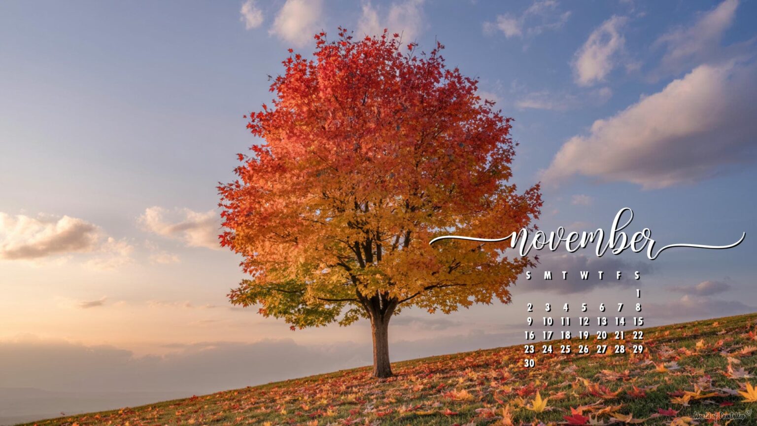 November 2025 Calendar Wallpaper | 120 Free Desktop & Phone Backgrounds