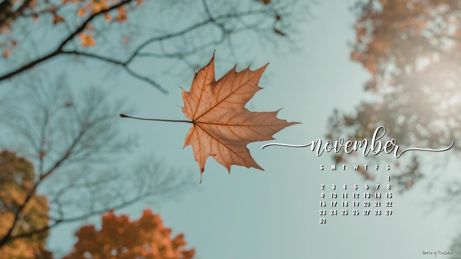 November 2025 Calendar Wallpaper | 120 Free Desktop & Phone Backgrounds